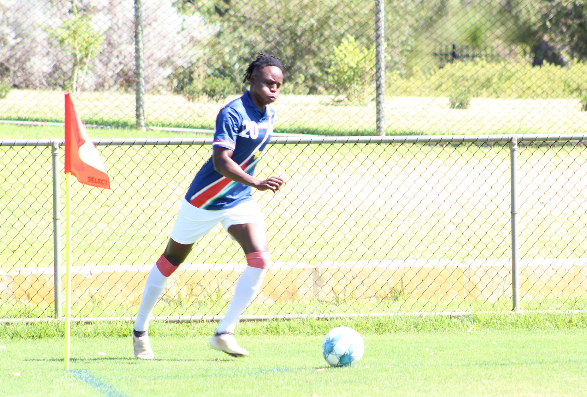 Player - Perth African Nations Sports Association