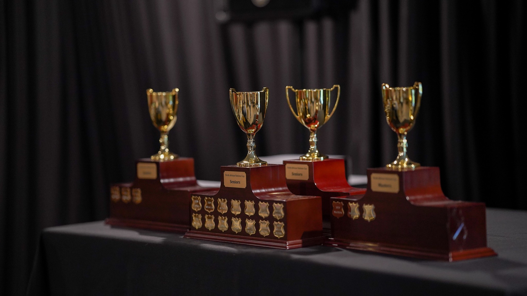 PAN Sports Awards 2023 3 - Perth African Nations Sports Association